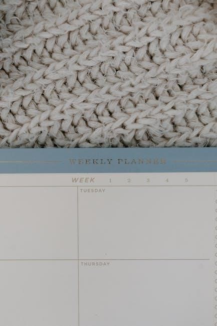 Insanity Workout Schedule Calendar PDF | Free Download Guide