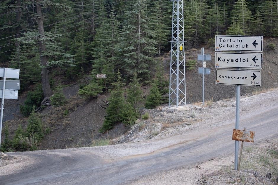 Sibley Guide to Trees: Your Pocket Forest Expert!